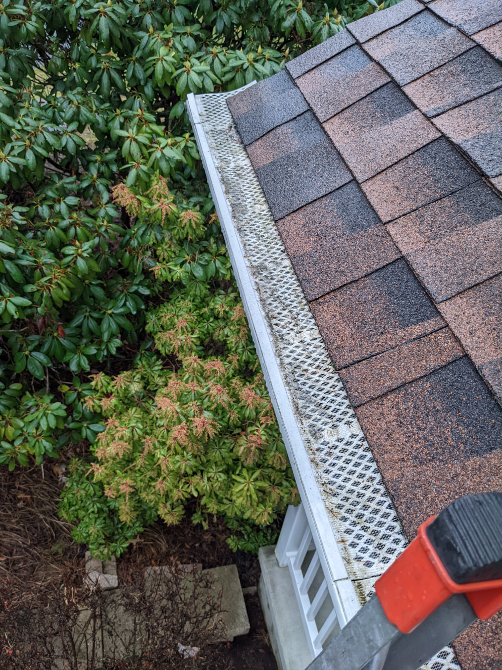 How Good Are Cleaning Companies at Window Cleaning? | Dan Wagner Window ...